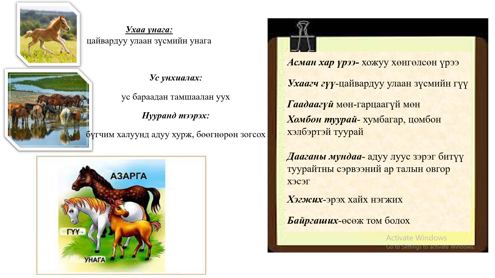 Мэдлээ Цахим контент